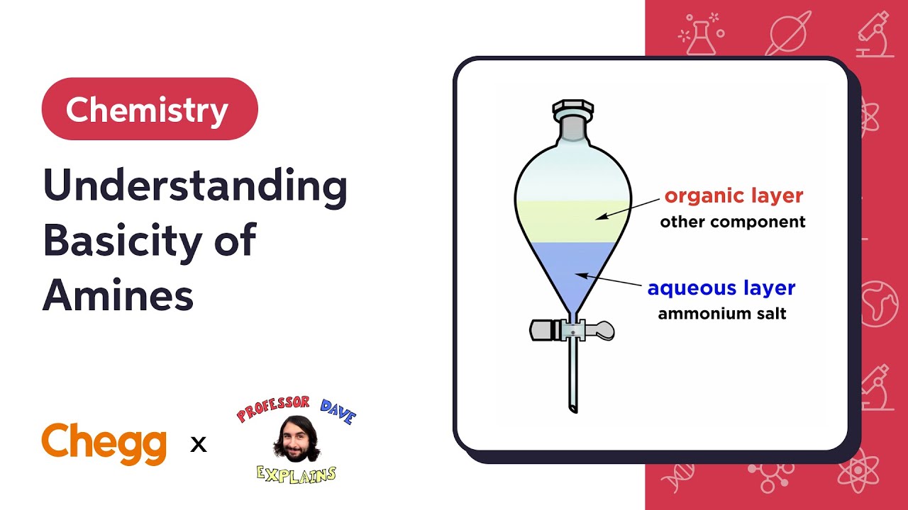 Understanding Basicity of Amines Ft. Professor Dave - YouTube