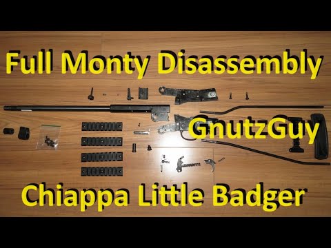 Chiappa Little Badger. Full Monty disassembly. Review. Cleaning ...