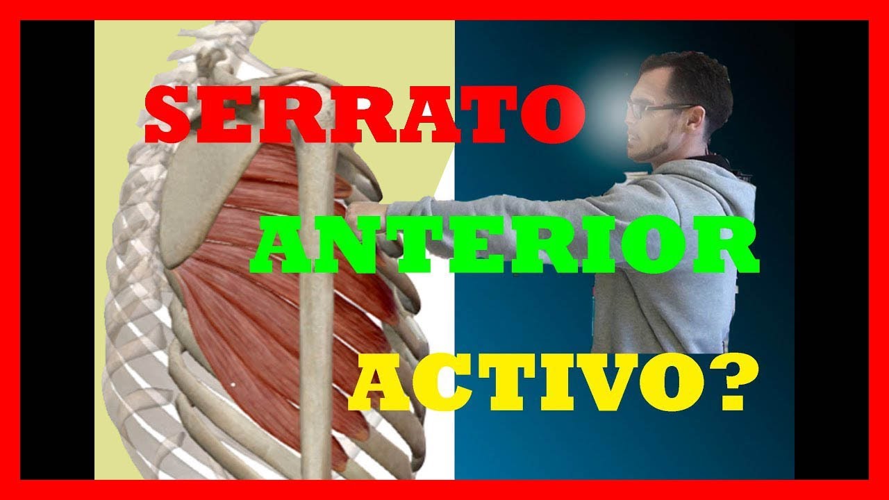 💪🏼Músculo SERRATO ANTERIOR: Lo tienes activo🤔? Seguro?🤗 - YouTube