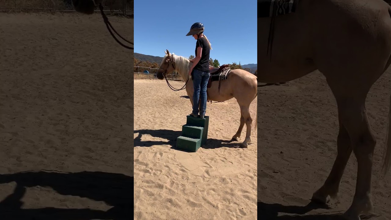 Ester - Reg Missouri Fox Trotter 4 sale 5149 - YouTube