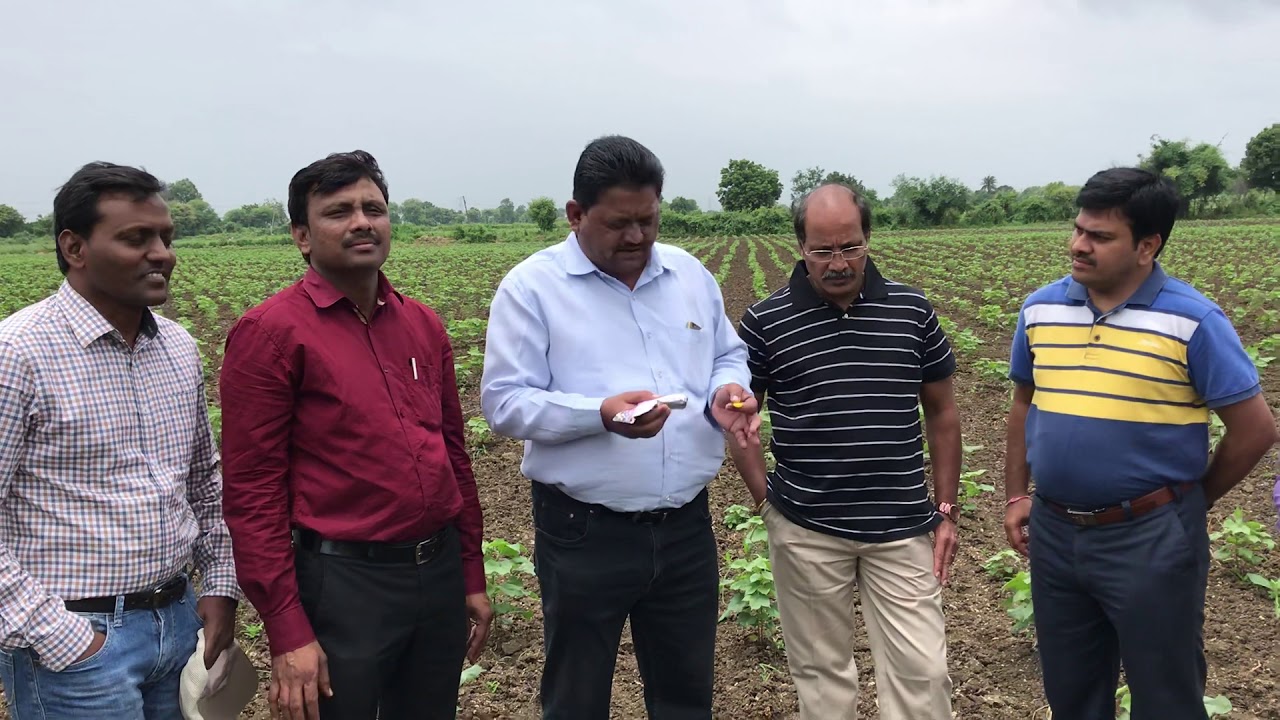 Field application demonstration of SPLAT PBW (Hindi) - YouTube