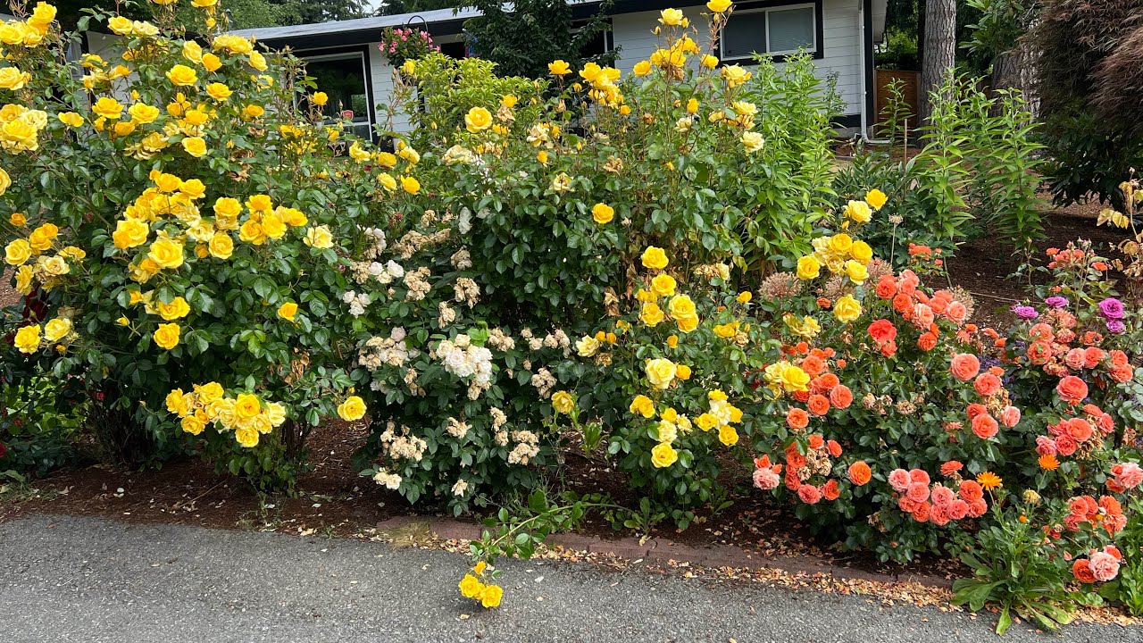 ஆதி இல்லாத ஆனந்தம்/ Song on Ramana Maharishi/ devika rajan - YouTube