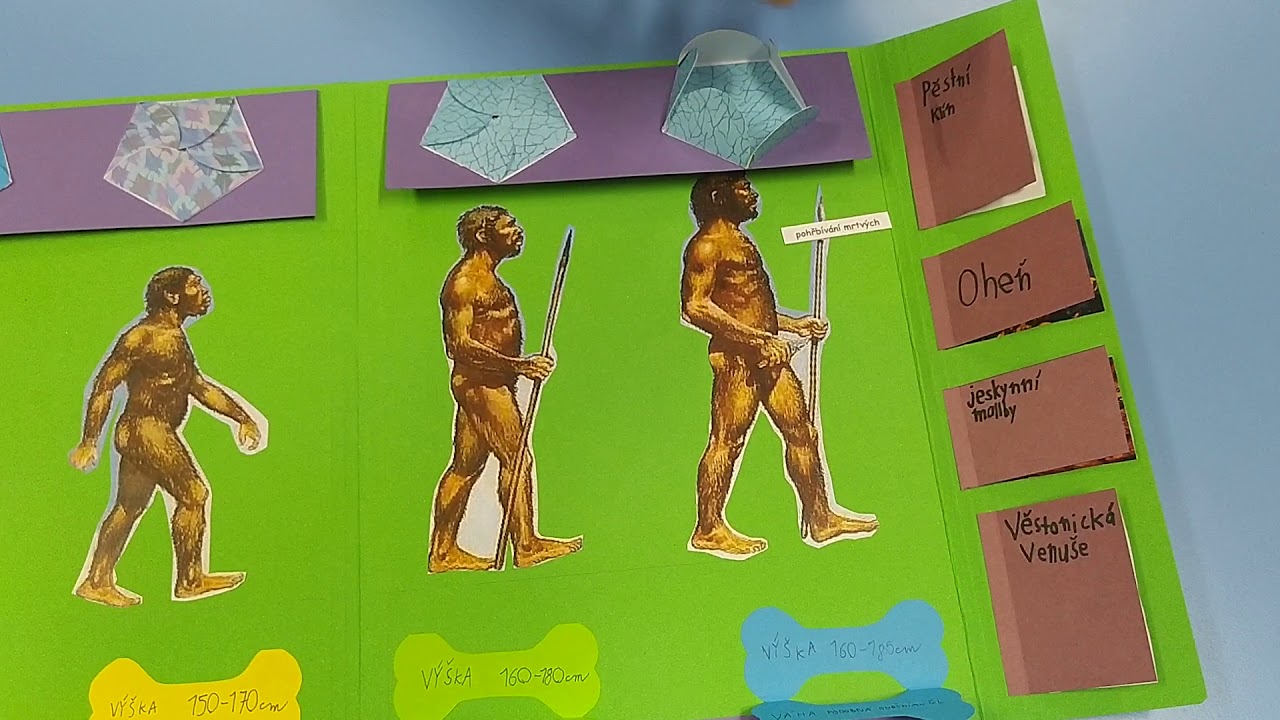 Lapbook: Pravěk - evoluce člověka (Prehistory - human evolution) - YouTube