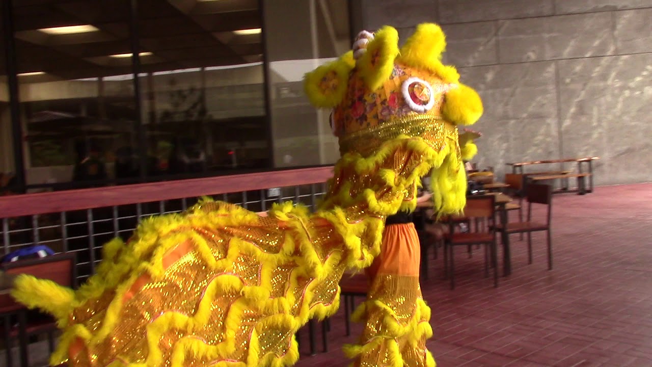 Lion Dance at the Chinese New Year - YouTube