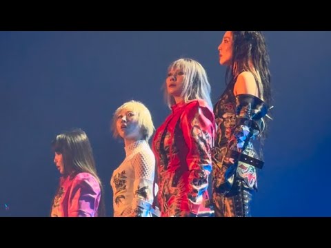 241003 Ugly - 2NE1 [2024 2NE1 CONCERT 투애니원 콘서트] - YouTube