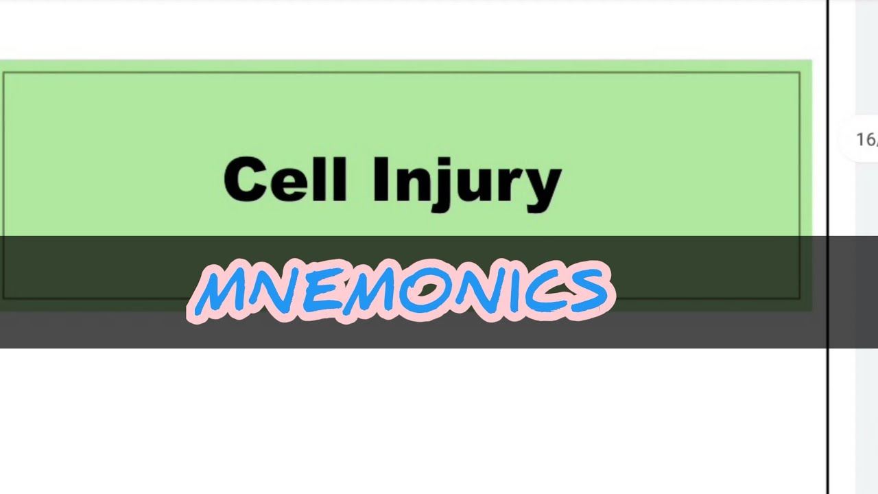 Cell injury and inflammation mnemonic - YouTube