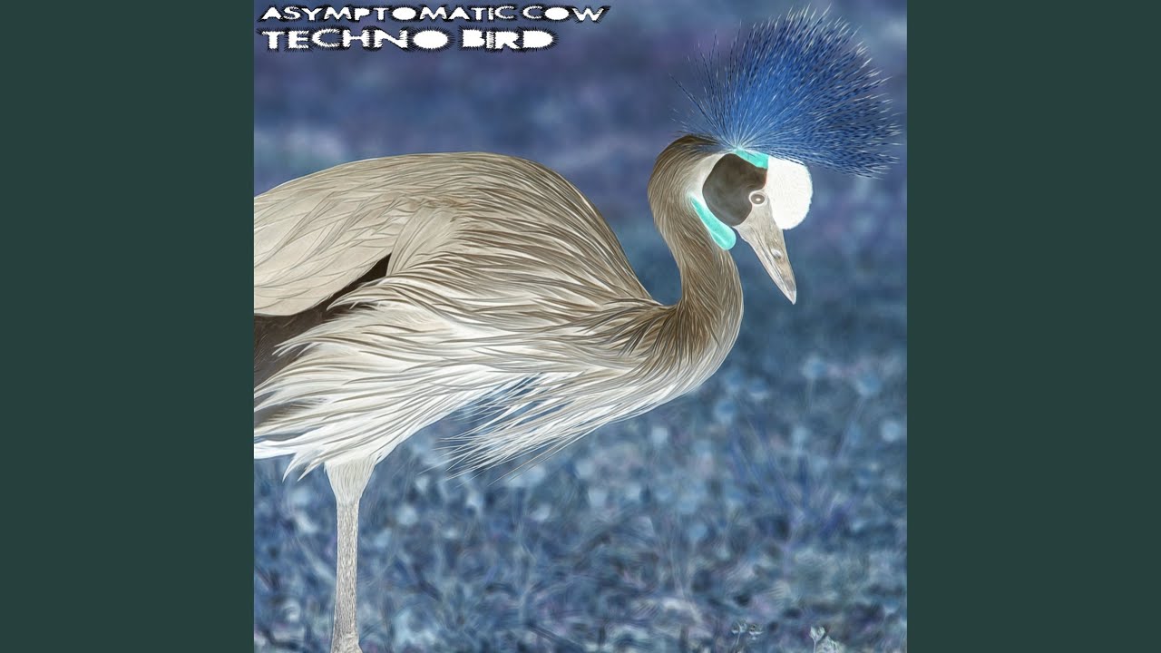 Techno Bird - YouTube