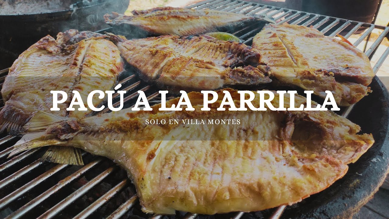 Pacu a la Parrilla - YouTube
