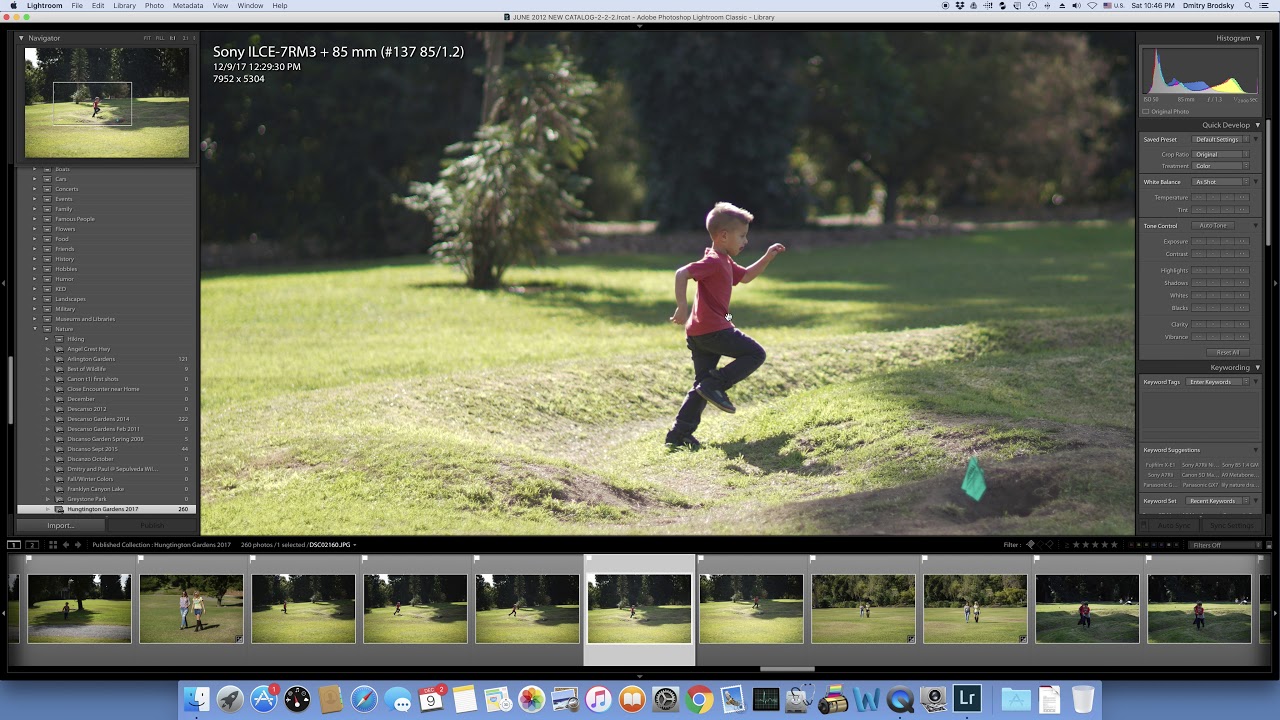 Sony A7R III AF Tracking with Canon 85L and Sony 24-105G - YouTube