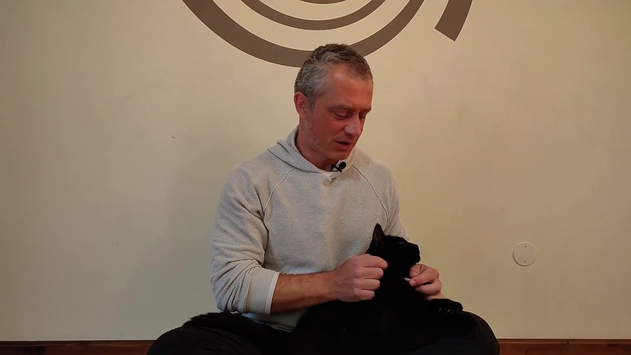 Calisthenics - anteroversione e retroversione del bacino - Andrea ...