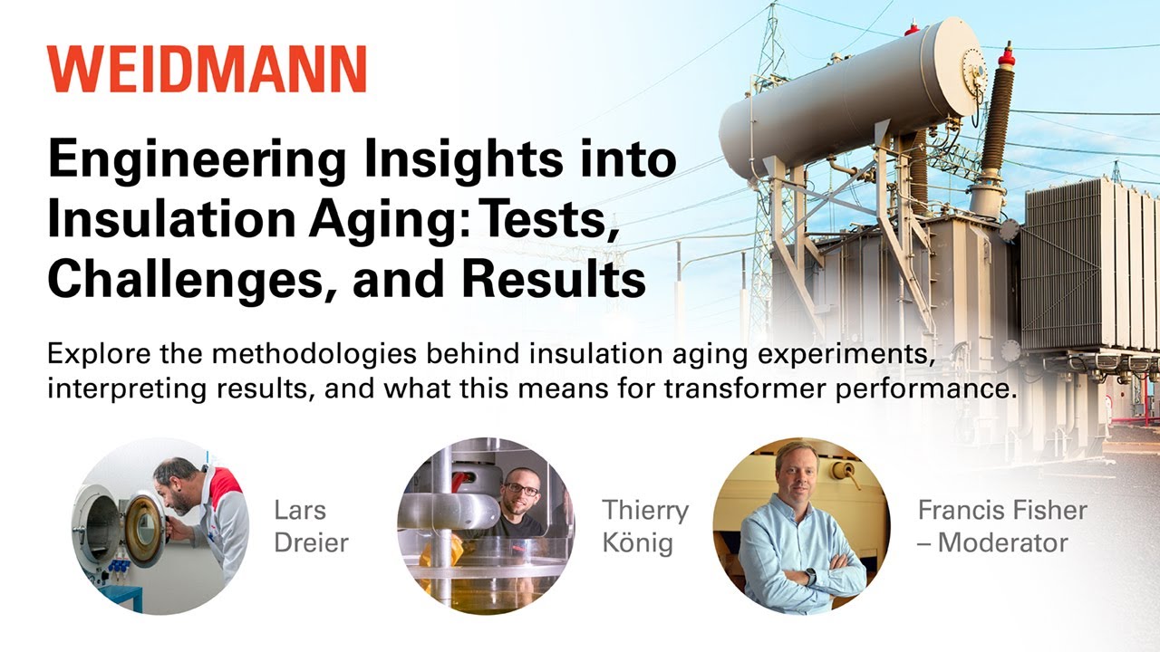 Engineering Insights into Insulation Aging Tests, Challenges, and ...