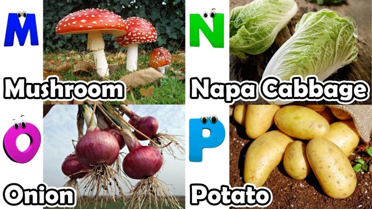 Vegetables ABC Song | Vegetables Alphabet Song | Phonics for Kids ...