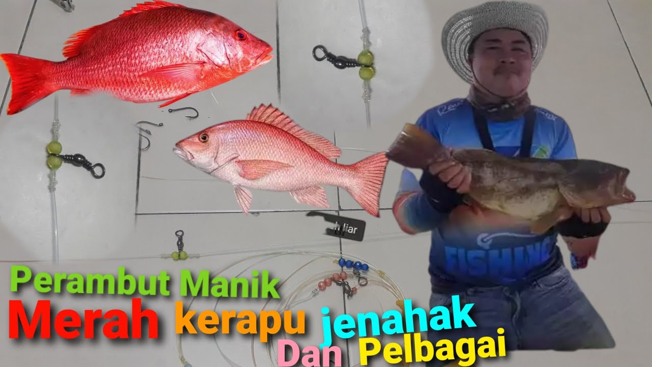 Perambut Manik Bottom ||apollo,Sabiki style.... - YouTube