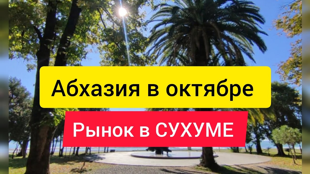 Какие фрукты в Абхазии в октябре Цены на рынке 😱😱😱 Погода в Абхазии в