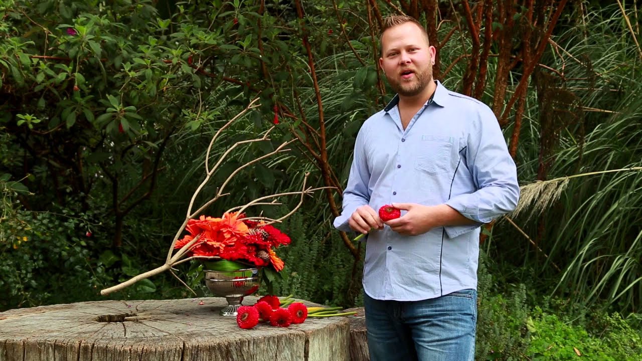 Elite Flower, Jacob McCall 3 - YouTube
