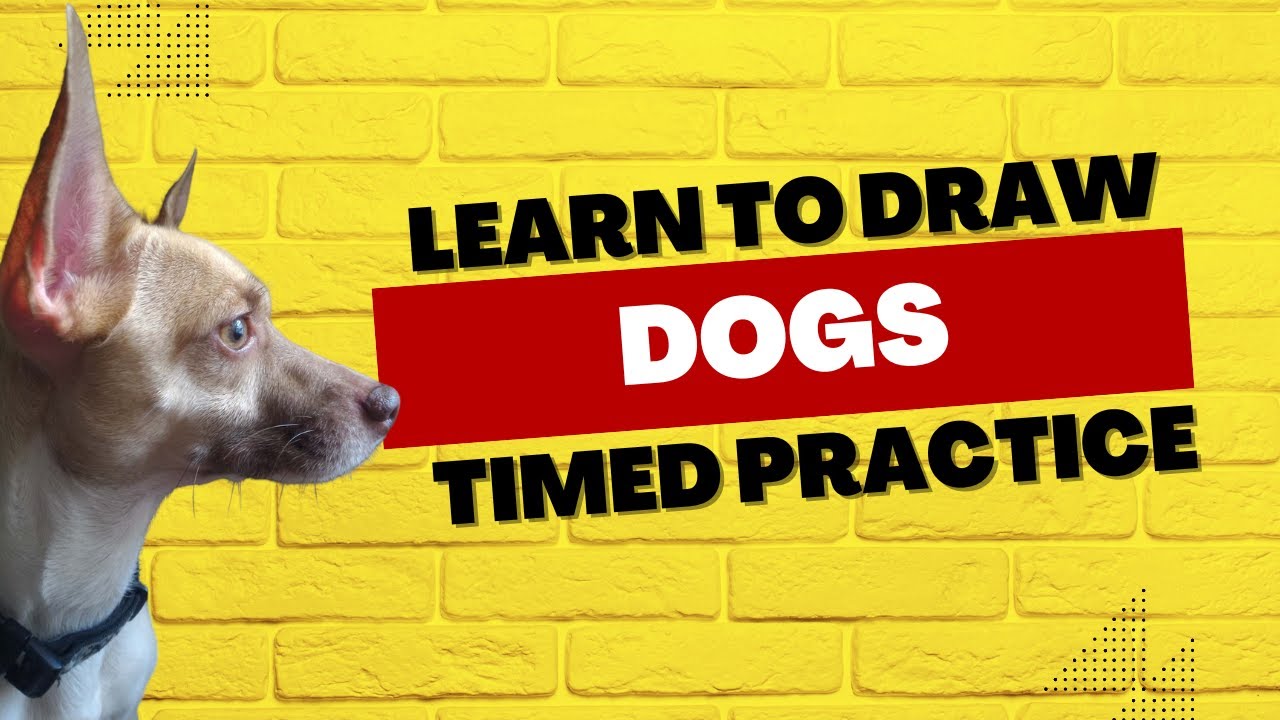 Practice Drawing DOGS [PT3] | Timed Drawings 2 Min Intervals - YouTube