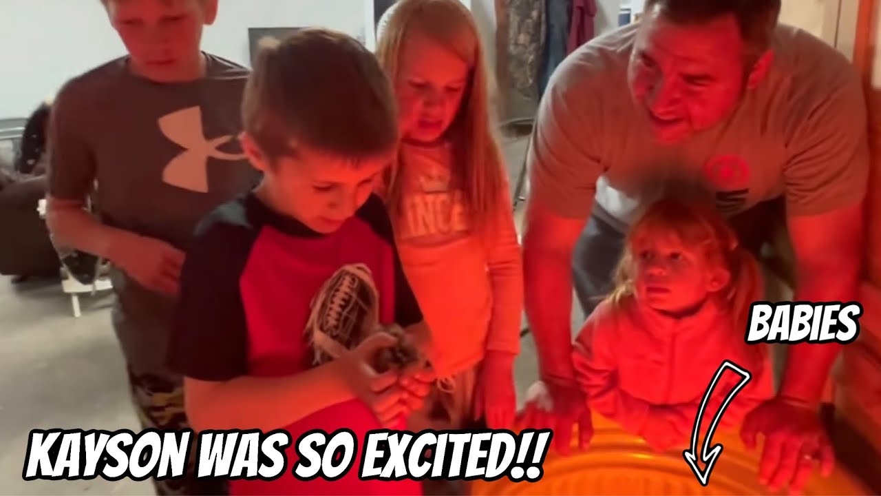 Kayson Was Surprised With His New Baby Chicks. Look What AMPACE Sent Us ...