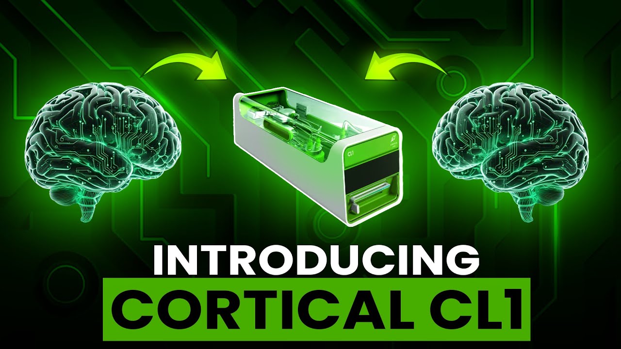 The World’s First Biological Computer is HERE! - YouTube