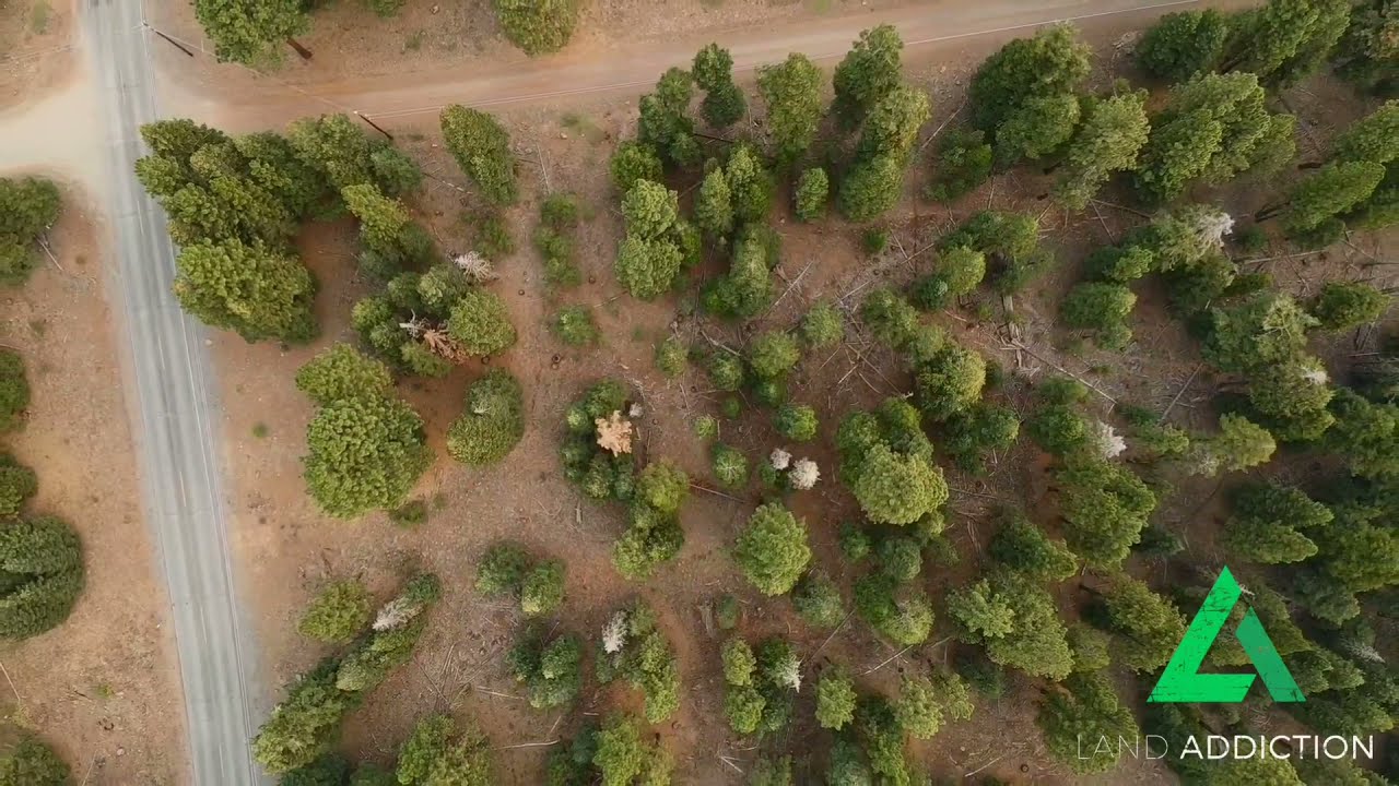 Romantic 0.86 flat vacant land in California Pines with trees, electric ...