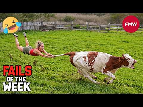 Try Not To Laugh 🤣 Top 100 Funniest Videos 2026 🎬🔥 Best Memes, Epic Fails & Pranks Compilation #264