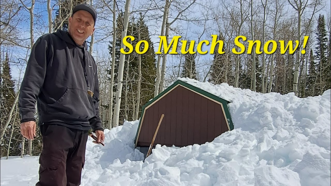 More Snow Than I Have Ever Seen on our Property. Little Cabin is Buried ...