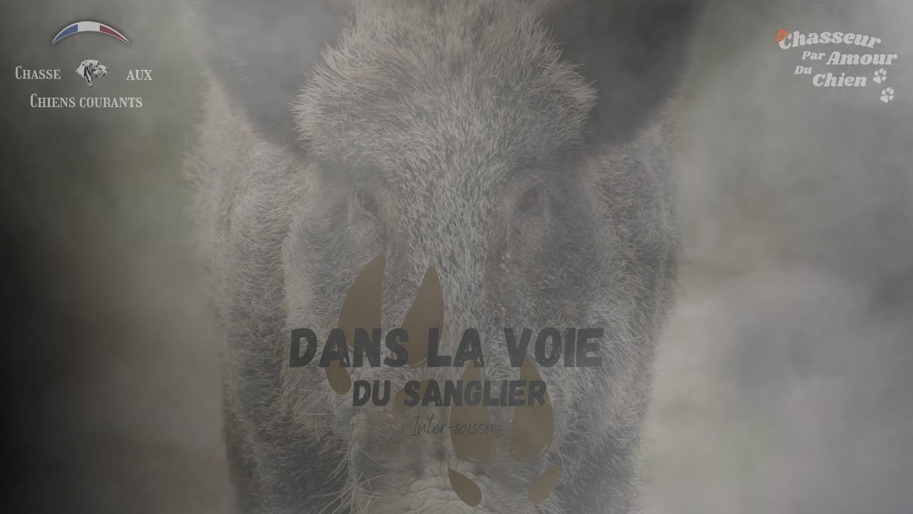 DANS LA VOIE DU SANGLIER: "intersaison" E1 S1 - YouTube