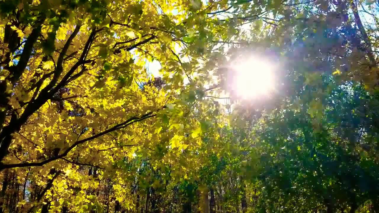 How Y'all Doin'? - Sunday - October 27, 2019 - YouTube