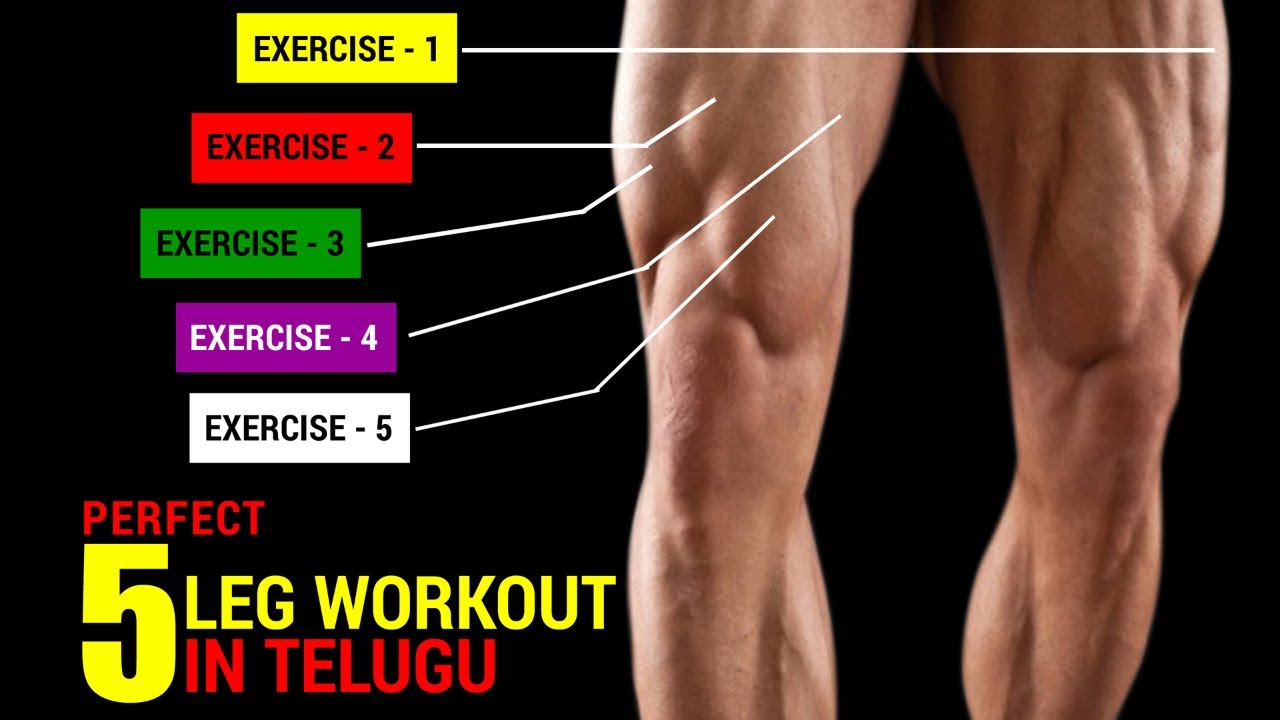 The Perfect 5 Leg Workouts In Telugu Sets And Reps Included YouTube The Perfect 5 Leg Workouts In Telugu Sets And Reps Included YouTube