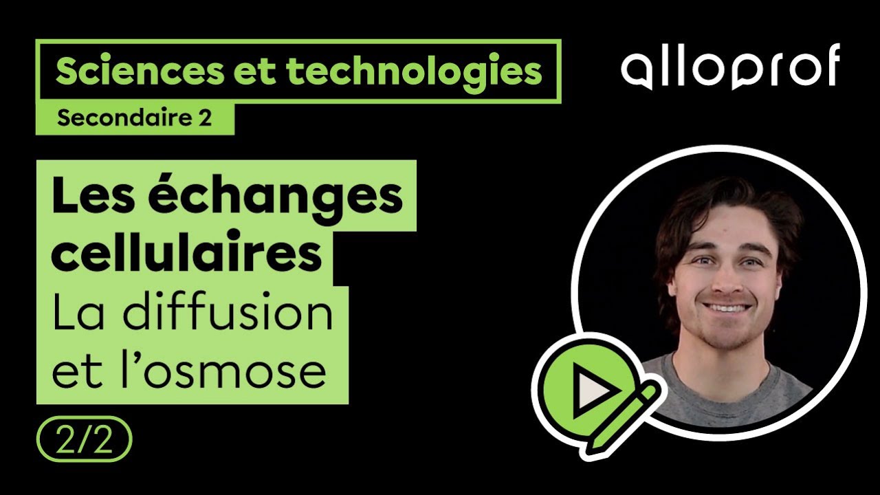 Les échanges cellulaires 2/2 | Sciences et technologies | Alloprof - YouTube