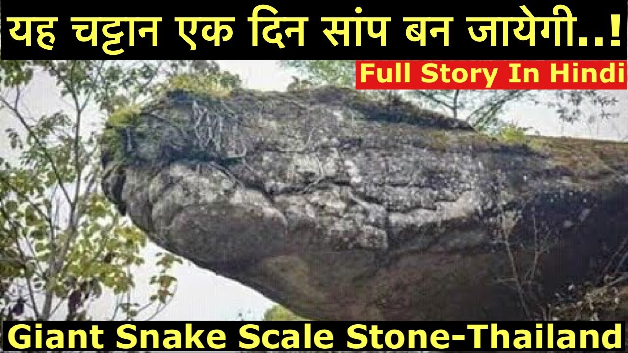 Giant Snake Scale Stone | Naka Cave Thailand | Story of Cursed snake ...