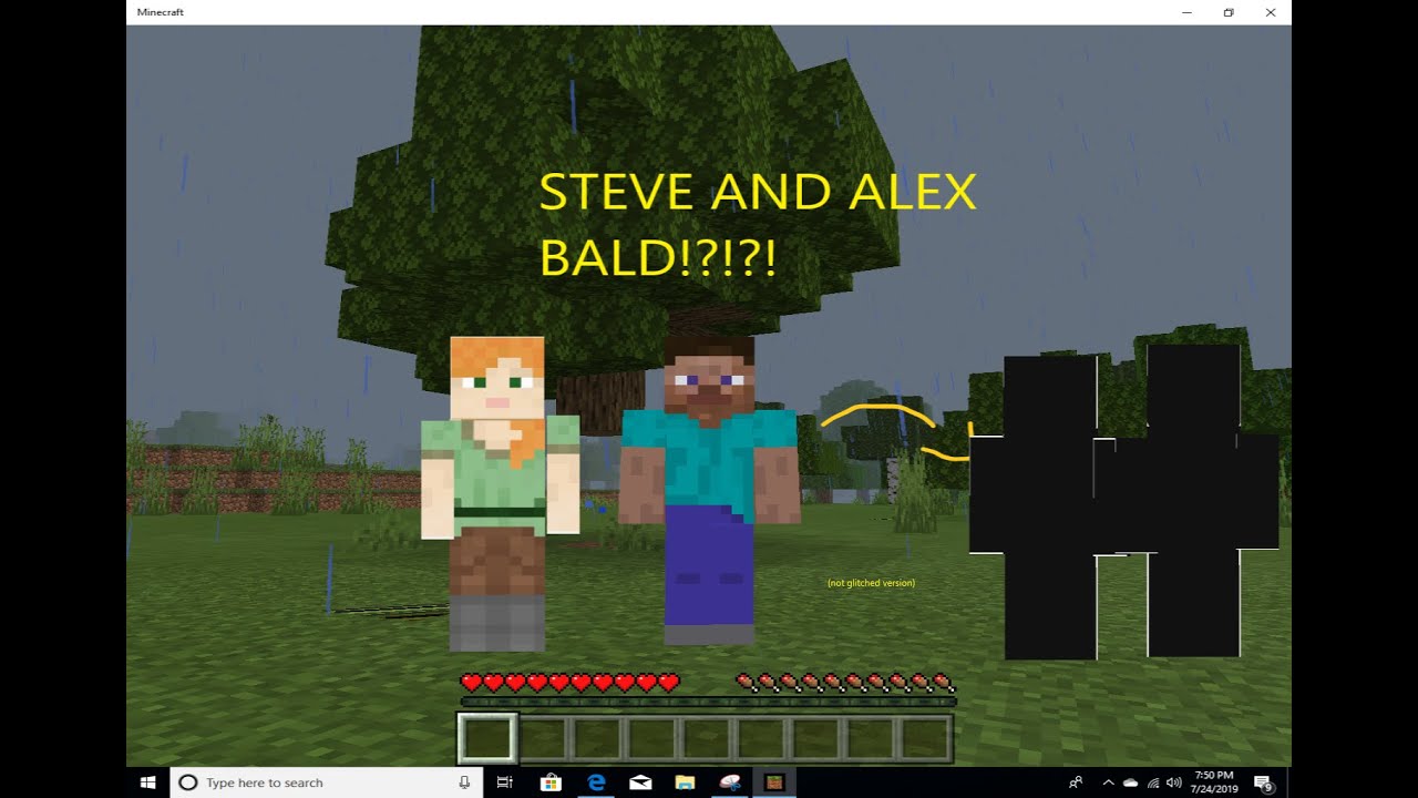 Minecraft: This is how Steve and Alex WOULD LOOK LIKE if they were BALD ...