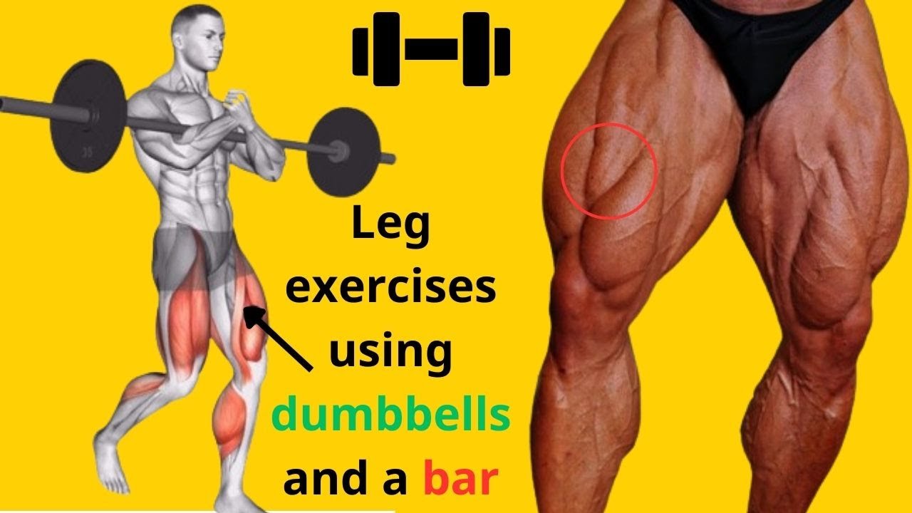 Leg exercises using dumbbells and a bar for beginners can do them at ...