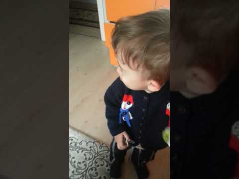 Pepe ölmüş.  (Çınar)