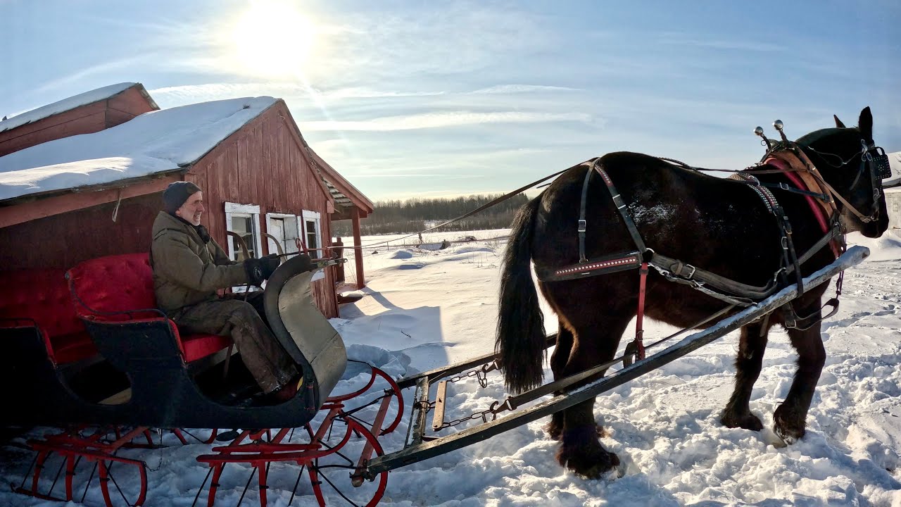 Putting Ken to Work & a Beautiful SLEIGH RIDE! #786 - YouTube