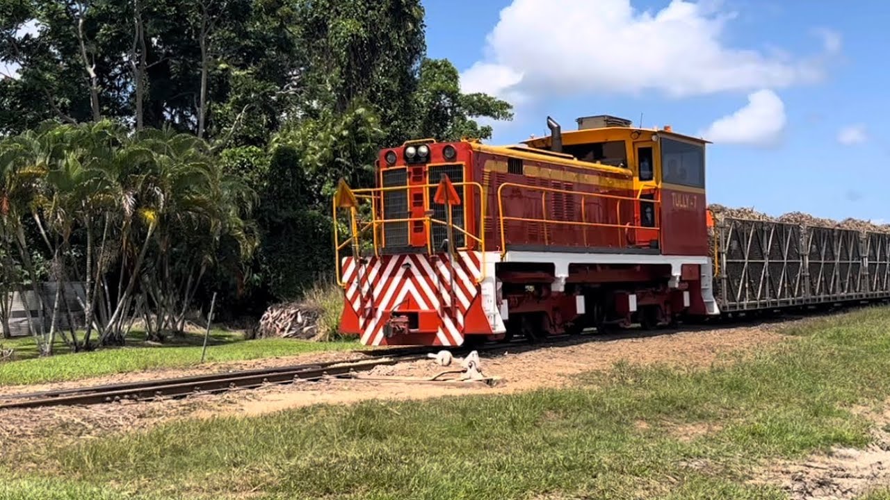 The Cane Trains of Tully Mill Part 2/3 - YouTube