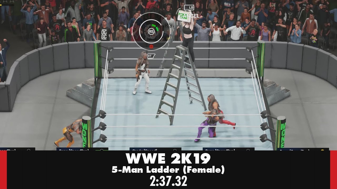 Speedrun - WWE 2K19 (5-Man Ladder Female) [2:37.32] - YouTube