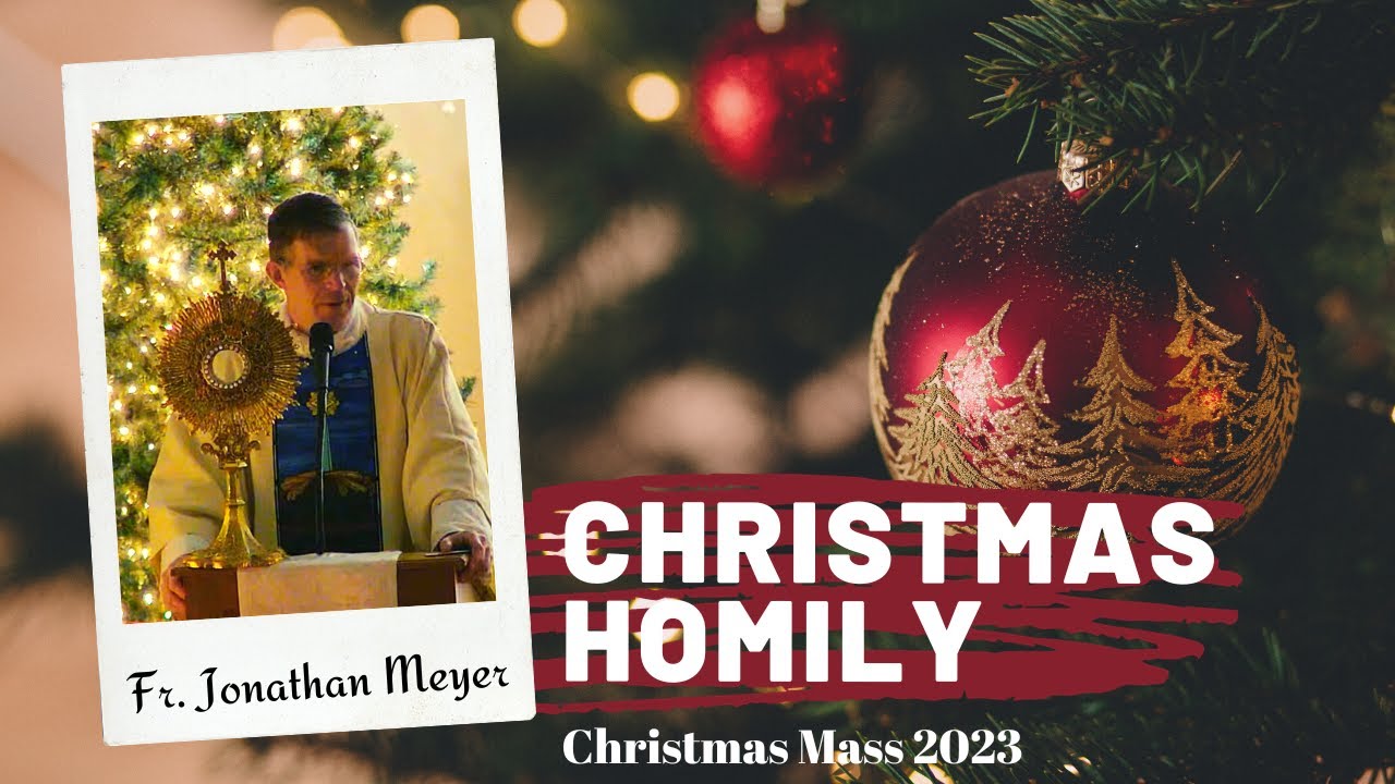 St. Francis and the Octocentennial of the Manger ~ Christmas Homily ...