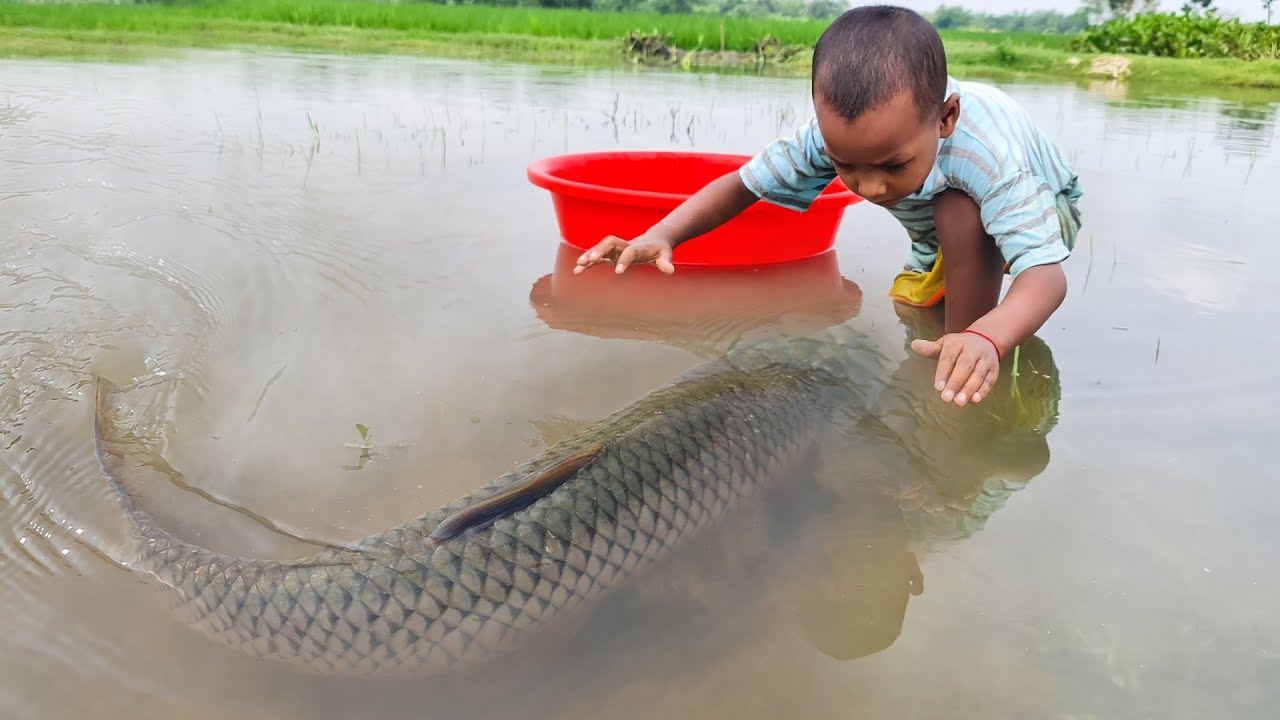 Really Amazing Hand Fishing Video | Traditional Boy Catching Fish By ...