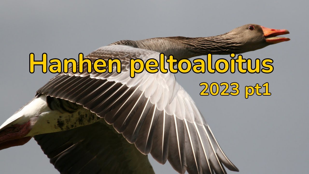 Hanhen peltoaloitus 2023, aloituspäivä - YouTube