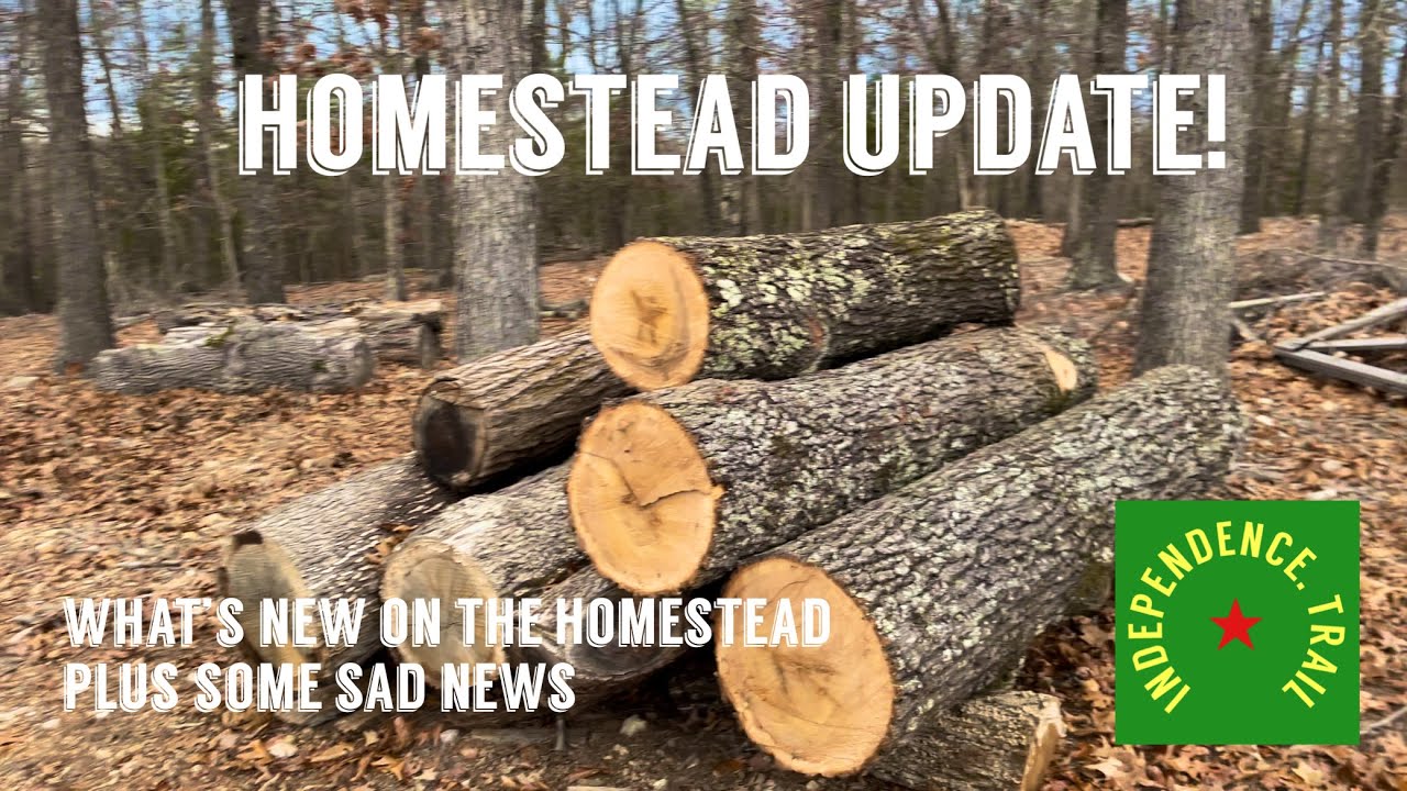 Homestead update! - YouTube