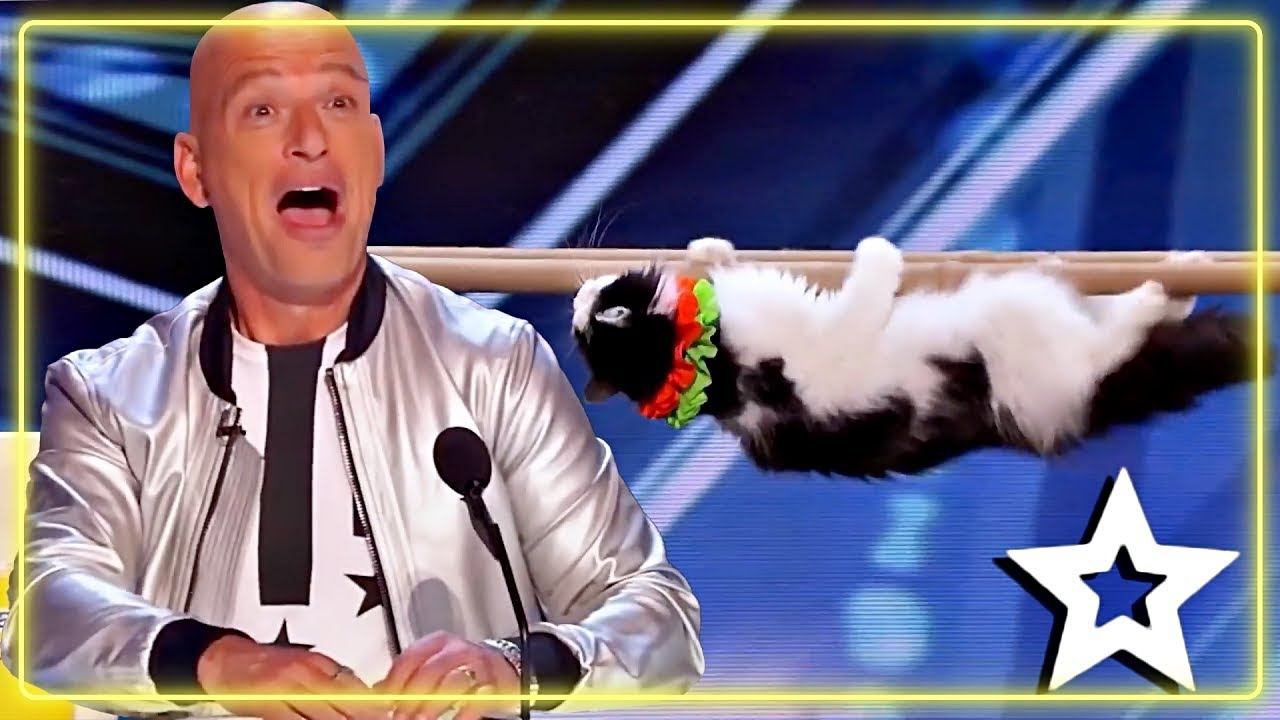 Most Exciting ANIMAL Auditions Of All Time From Season 14/15 BGT - AGT ...