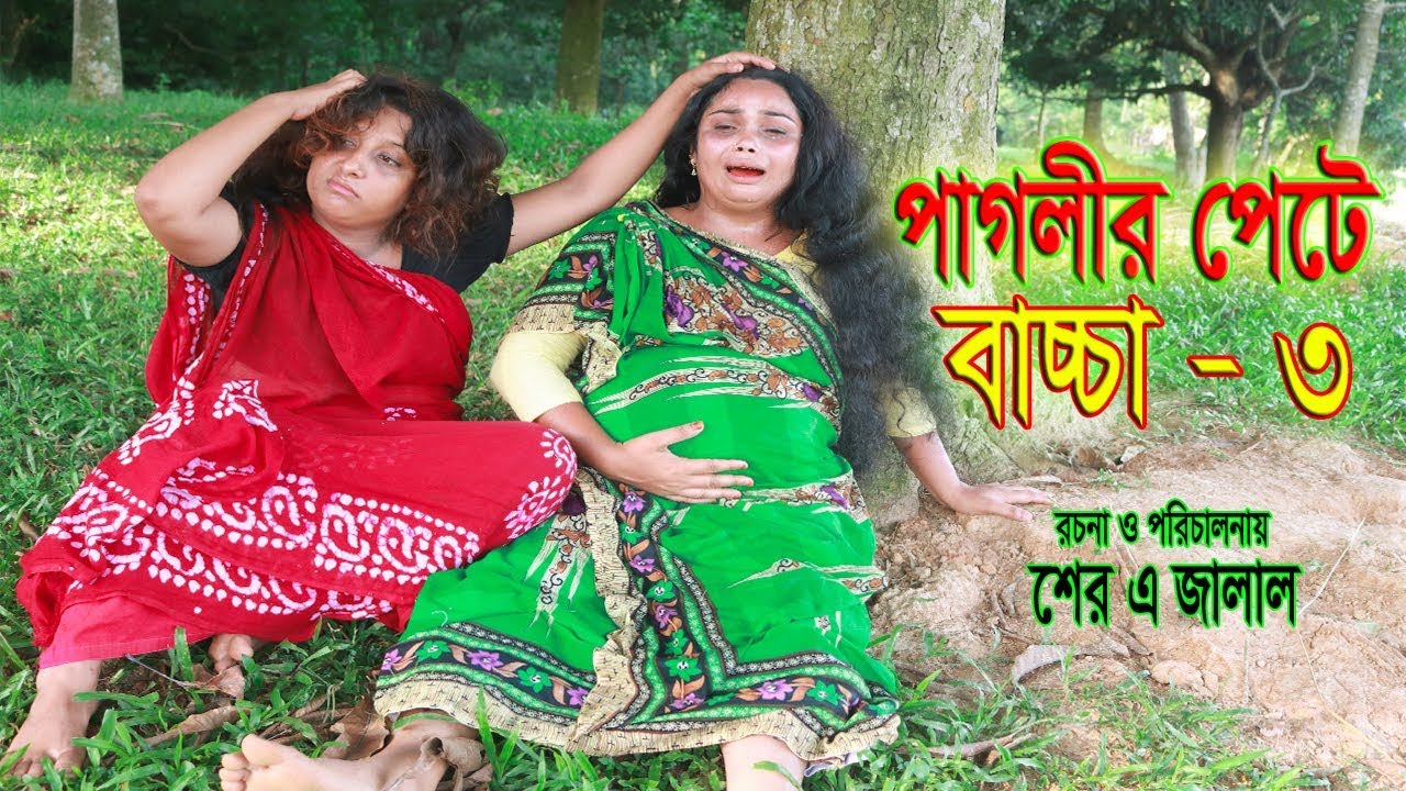 Paglir Pete Baccha 3 | পাগলীর পেটে বাচ্চা ৩ | জীবন বদলে দেয়া একটি ...