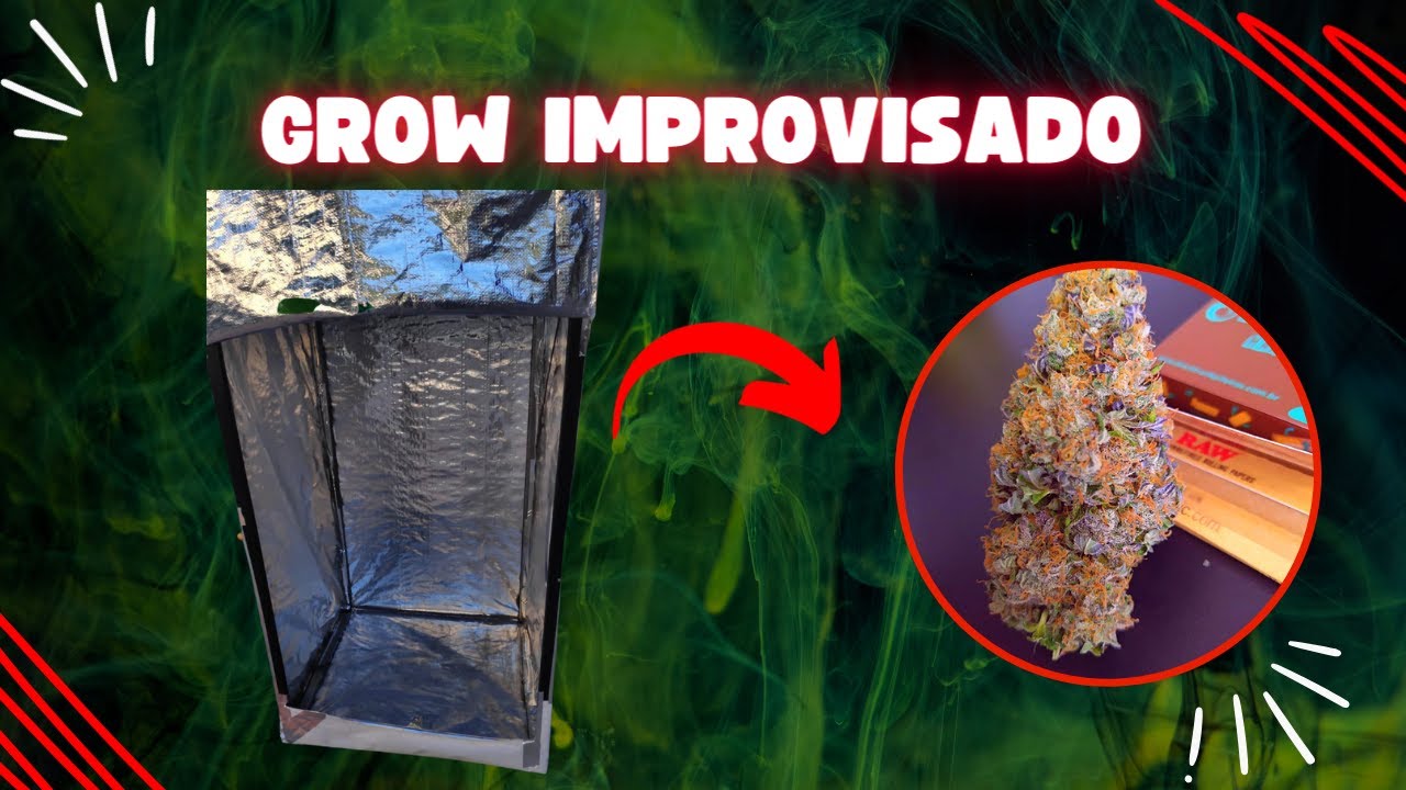 Seu grow improvisado vai render boas colheitas ? - YouTube