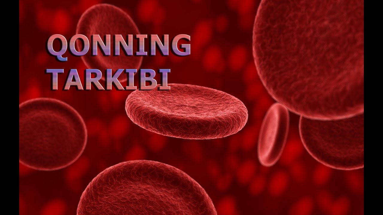 QONNING TARKIBI HAQIDA | ҚОННИНГ ТАРКИБИ ҲАҚИДА. - YouTube