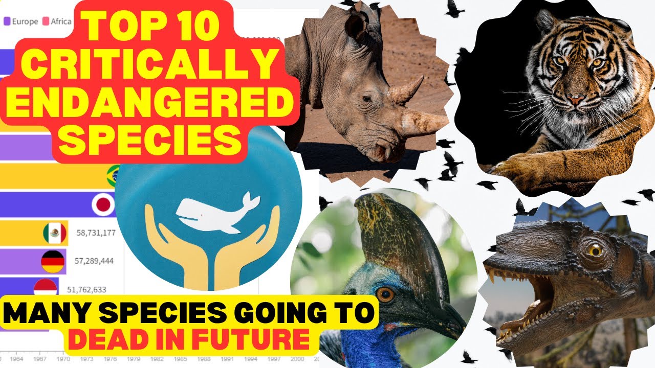 Top 10 animal species that will be extinct soon | Critical Endangered ...