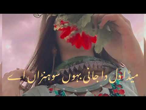 Mede Dil da Jani Baun Sohna hei | Slowed Revereb | Saraiki song | | Zeeshan  rokhri | | Music Girl |
