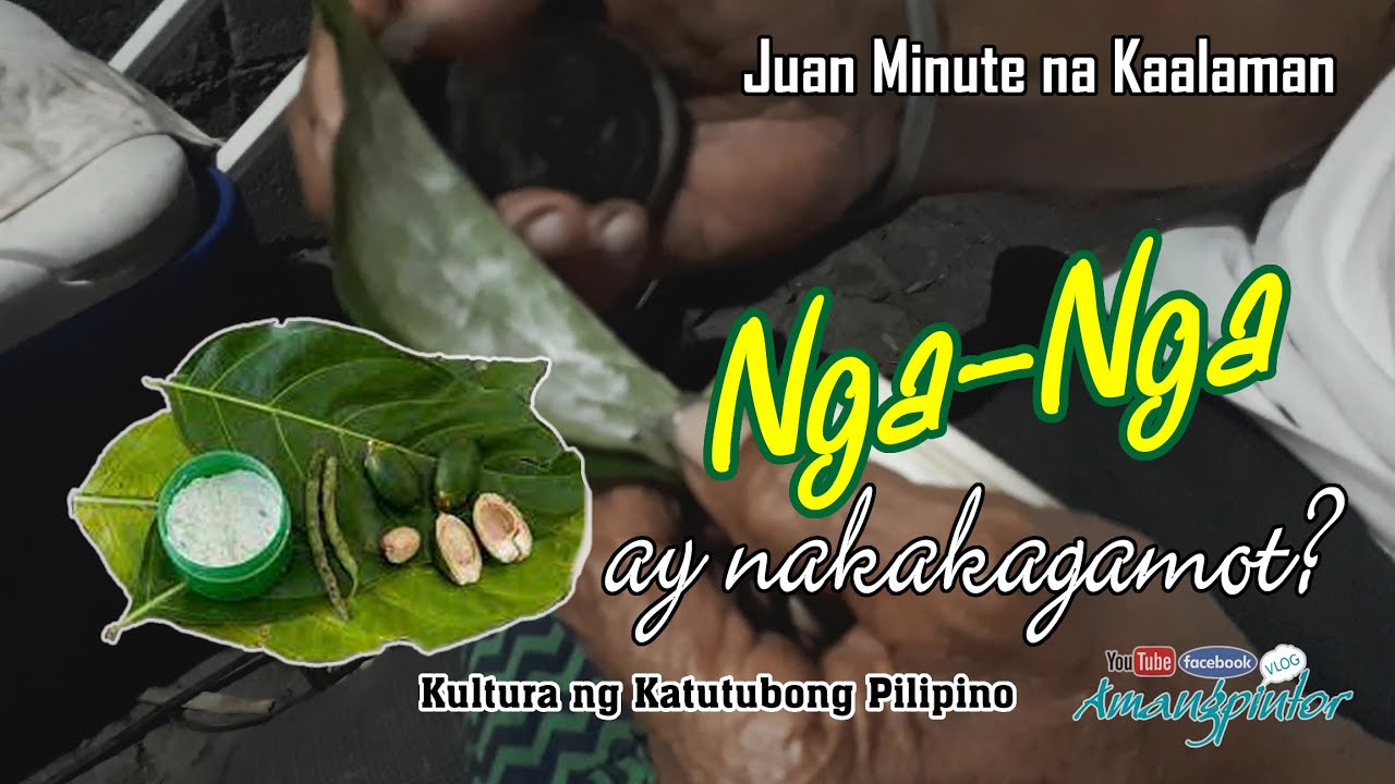 NGANGA ay GAMOT Betel Nut - YouTube