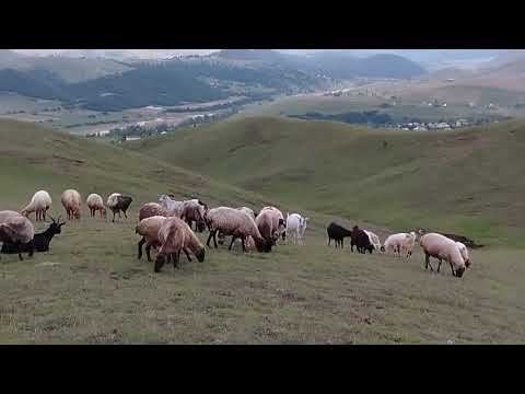 Gədəbəy rayonu ~ Novo - Saratovka kəndi #trend #kəşfet