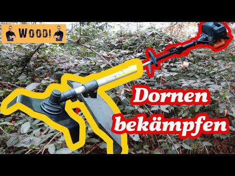 Dornen entfernen und bekämpfen - Wildwuchs mit Mulchmesser für Freischneider entfernen