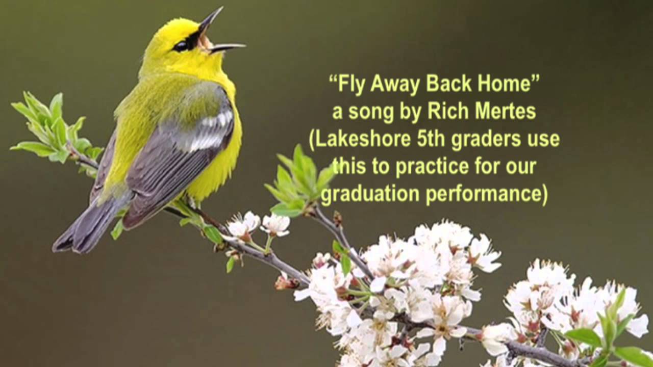 "Fly Away Back Home" Grad Song - YouTube